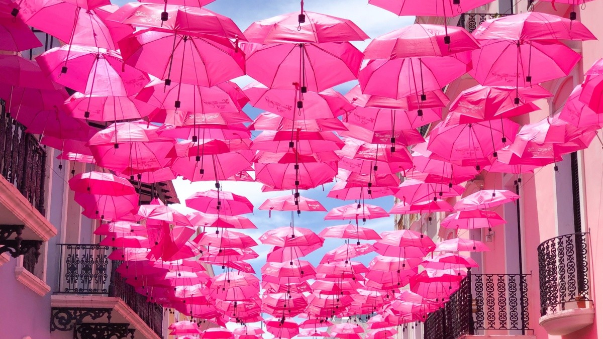 ¡No lo hagas! 5 consejos para evitar el "Pinkwashing" este Pride 2023 ...