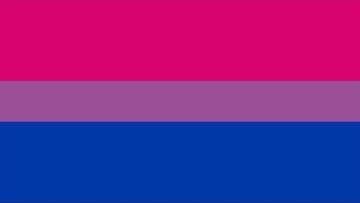 Historia y significado de la bandera del orgullo bisexual | DIVERSO ...